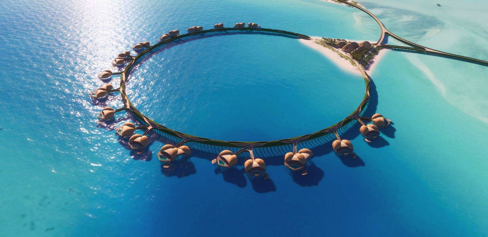 المقالات : acud